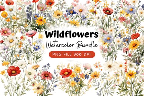 1 Vintage Wildflowers Watercolor Clipart Bundle Designs And Graphics