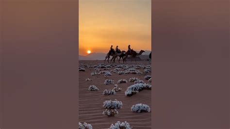 أبناء العباس بن عبدالمطلب رضي الله عنه Youtube