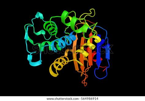 Beta Lactamase Penicillin Over 114 Royalty Free Licensable Stock