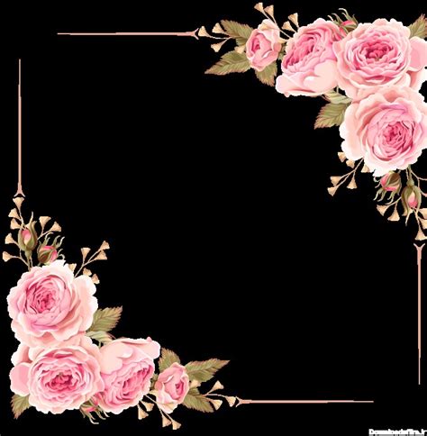 عکس کادر و حاشیه گل