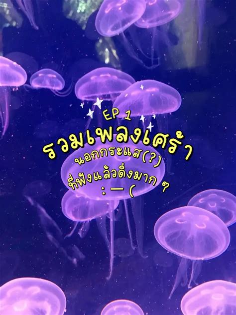 รวม 5 เพลงเศร้า นอกกระแส ที่ฟังแล้วดิ่งมาก 🥹 Ep 1 แกลเลอรีที่โพสต์