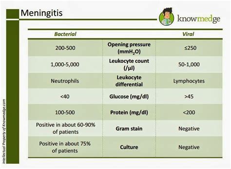 Viral Vs Bacterial Meningitis Symptoms