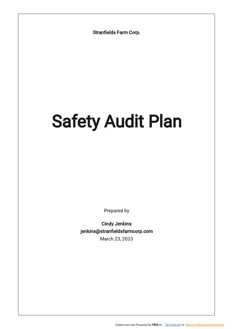 Audit Plan PDF Templates Free Download Template Net