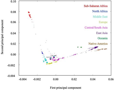 Principal Component Analysis And Supervised Admixture Analysis Download Scientific Diagram
