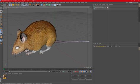 False Mouse Sniffing Pose 3d Turbosquid 2196903