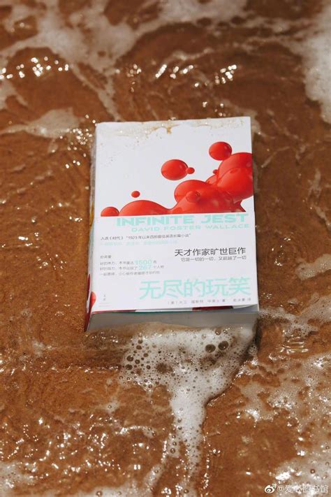 天才作家华莱士旷世巨作《无尽的玩笑》：预言当下成瘾和孤独的群体症候