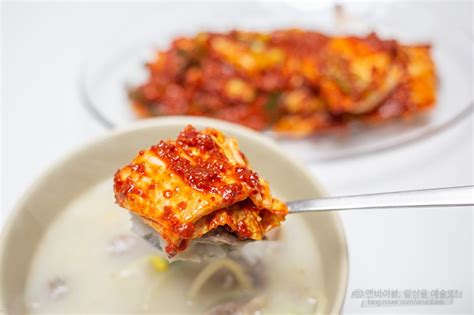 대전 선화동 실비김치 매운김치 And 실비파김치 맛있게 먹는방법 네이버 블로그