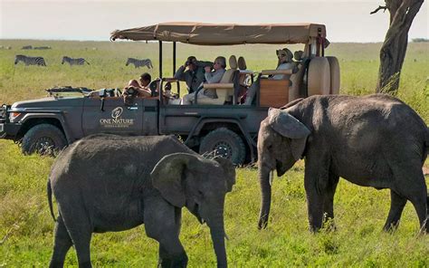 Luxury African Safari Lodge Mara River One Nature Hotels