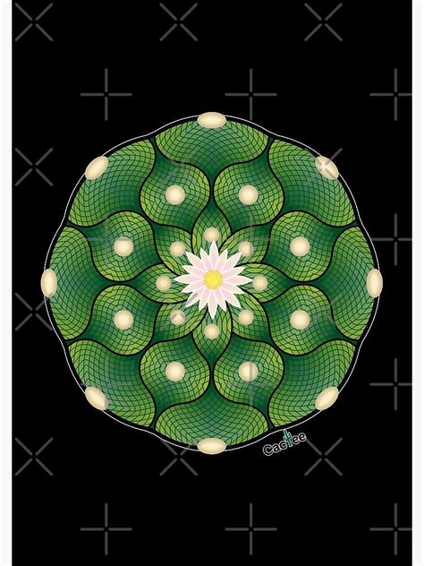 Lophophora Williamsii Peyote Sacred Geometry By Cactee Smooth Surface
