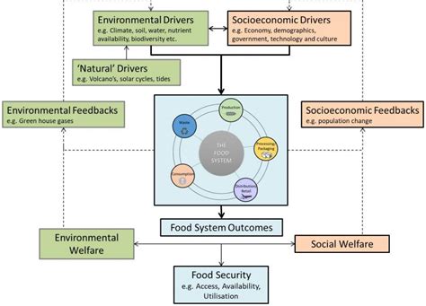 What Is The Food System Future Of Food