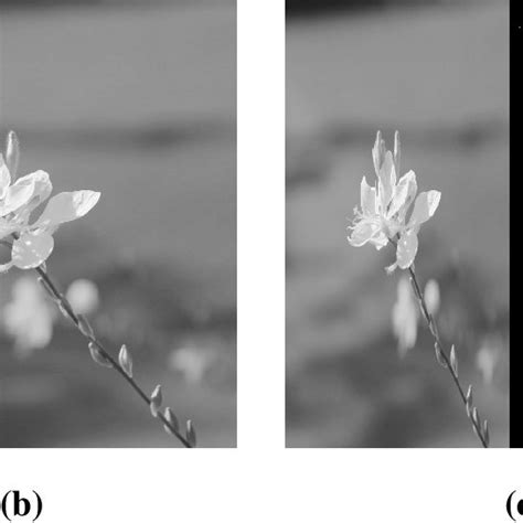 Example Of Haar Wavelet Transform A Wavelet Output Decomposition B Download Scientific