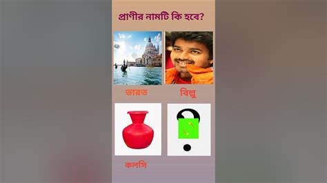 ধাঁধার সমাধান ছবির ধাঁধা ব্রেন টেস্ট Shorts Video Youtube Short