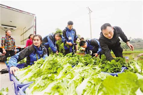 蔬菜配送车驶进扶贫产业基地重庆市人民政府网