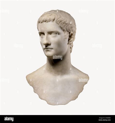 Bust Caligula Stock Vector Images Alamy