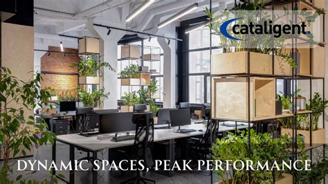 Optimizing Space Utilization Maximizing Efficiency And Cost Savings