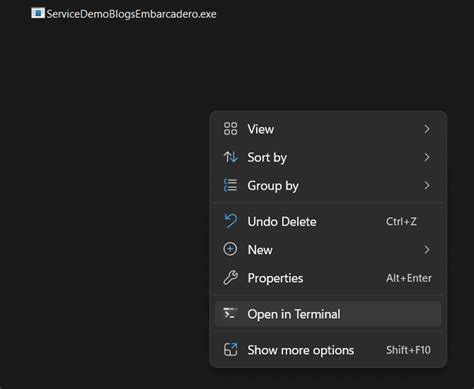 Install Windows 11 Service Built With Delphi 6483549 Embarcadero Rad