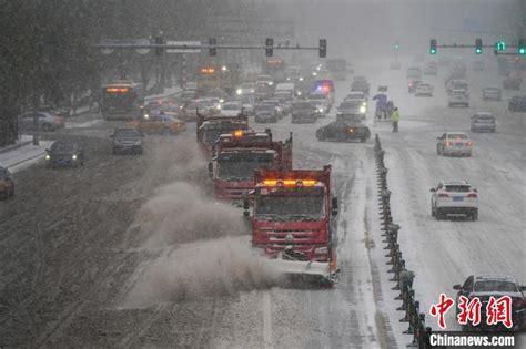 黑龙江雨雪：19个站点累计降水超25毫米，最大59毫米绿政公署澎湃新闻 The Paper