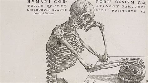Imágen aesthetic vintage esqueleto Humani corporis fabrica libri septem Andrés Vesalio