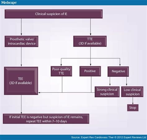 Endocarditis And Myocarditis Page 2