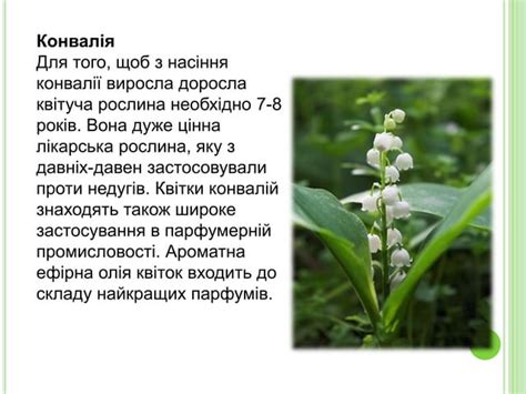 рослини червоної книги україни Ppt