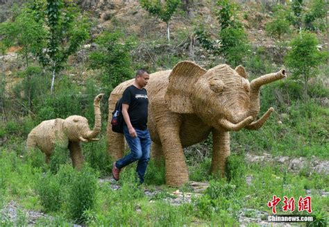 中国最大草编作品“中国龙”亮相福建社会奇趣湖南红网新闻频道