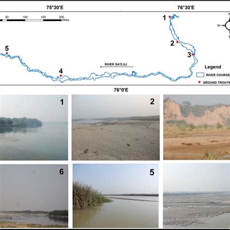 Represents Several Transect Lines Along Reach A Download Scientific Diagram