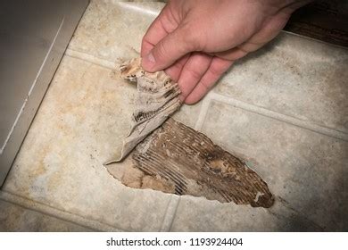 827 Torn Vinyl Images Stock Photos Vectors Shutterstock
