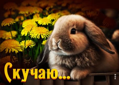 Идеальная открытка с кроликом Скучаю Скачать бесплатно на