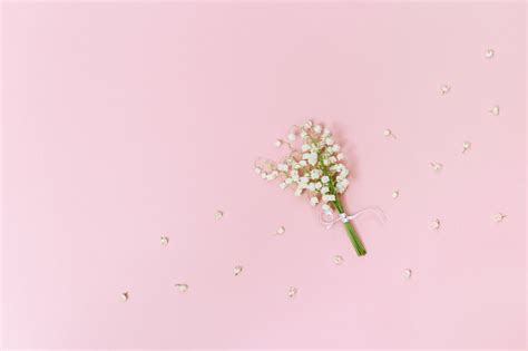 계곡의 첫 봄 꽃 백합의 작은 꽃다발 텍스트 공간이 있는 스프링 엽서 또는 배경입니다 복사 공간이 있는 창의적인 플랫 레이 컴포지션 0명에 대한 스톡 사진 및 기타 이미지