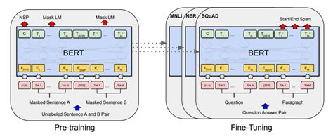 The Rise Of Bert Ai The Model Redefining Natural Language Processing