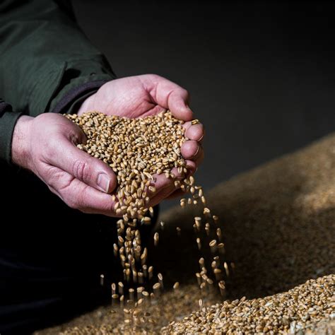 Support Sruc Making A Difference