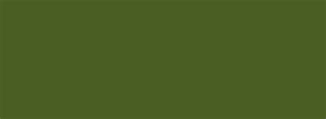 Dark Moss Green Solid Color Background
