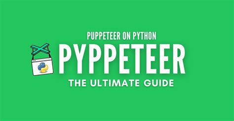 Pyppeteer The Ultimate Guide RapidSeedbox
