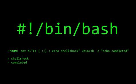 Remotely Exploitable Bash Shell Vulnerability Affects Linux Unix And