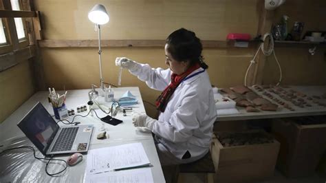 Descubrimiento Milenario Hallan Restos Arqueológicos Bajo El Nuevo