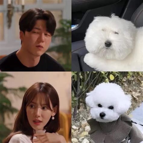 잡담 전여친 강아지 못 생겼다 하는 전남친 인스티즈instiz 연예 카테고리