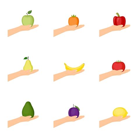Premium Vector Set Of Hands Holding Fruit And Vegetable Healthy Food