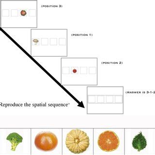 Working Memory Task And Examples Of Pictures Used In The Task Download Scientific Diagram