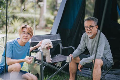 아시아 중국 노인과 그의 아들 캠핑 텐트에서 아침에 장난감 푸들 개 동반자 캠핑에 대한 스톡 사진 및 기타 이미지 캠핑 개