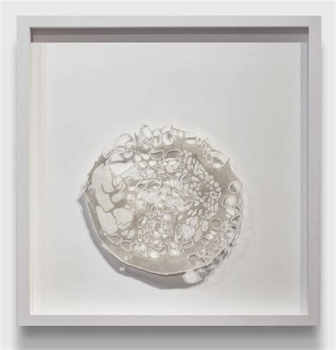 Cell Structures 2010 2014 Tania Love Artist