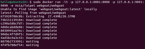 Ubuntu Lts Webgoat Writes Now