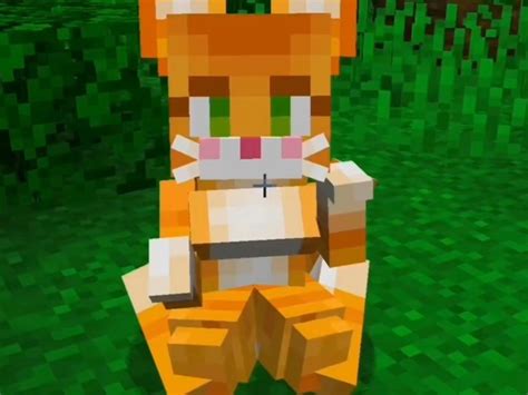 我将猫娘添加到我的世界 我的世界 Mc 猫娘 我的世界史蒂夫 我的世界史蒂夫 哔哩哔哩视频