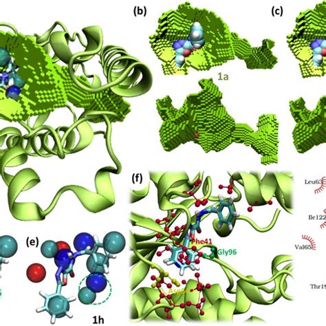 Docking Results And Pocket Analysis A Overview Of The Overall