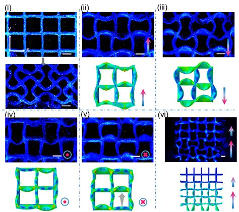 cuhk develops 3d soft architected materials with magnetic control