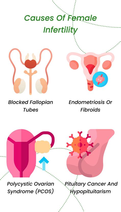 Stem Cell Treatment For Female Infertility 2023 All You Need To Know