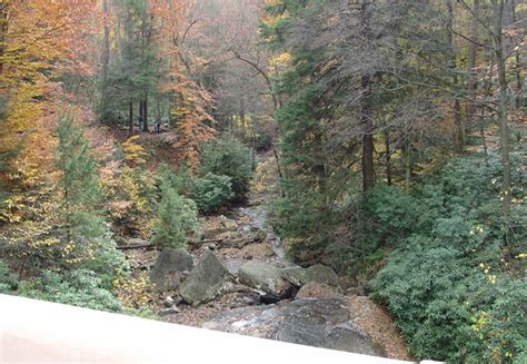 Fallingwater «Дом над водопадом Проектирование жилых зданий Totalarch