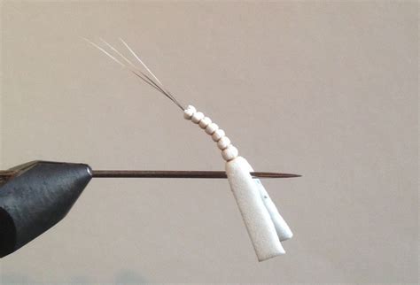 Mayfly Extented Body Part 1 The Extended Body Floflyover