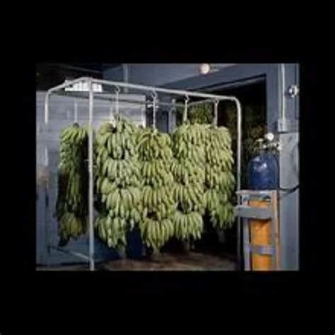 Automatic Banana Ripening Chamber For Industrial At ₹ 200000 In New Delhi