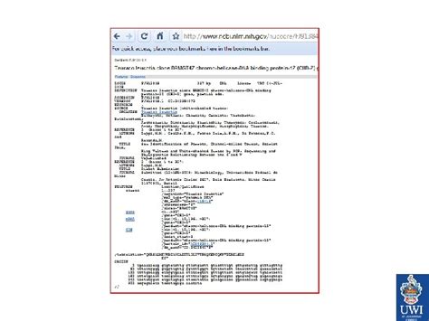 Sequence Formats And Databases In Bioinformatics DefinitionsBasics Sequence
