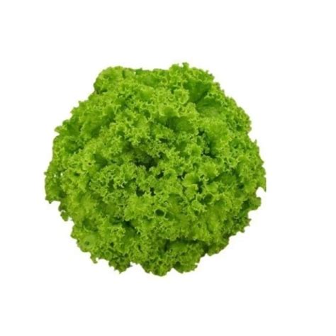 Alface Solaris Svr Seminis 25 Mil Sementes Peletizadas Shopee Brasil